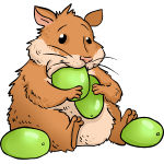 Hamster Food: What do hamsters eat? | The Hamster House